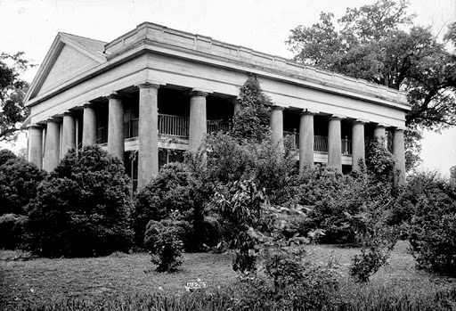 Rurill Hill Plantation – Sankofagen